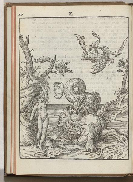 Andromeda Definition, Meaning & Usage | FineDictionary.com