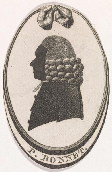 Bonnet Definition, Meaning & Usage | FineDictionary.com