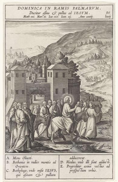 Colt Definition, Meaning & Usage | FineDictionary.com