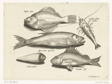 Ruff Definition, Meaning & Usage | FineDictionary.com