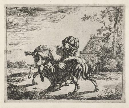 Sniff Definition, Meaning & Usage | FineDictionary.com